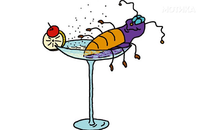 Гатање на лебарка | Мотика