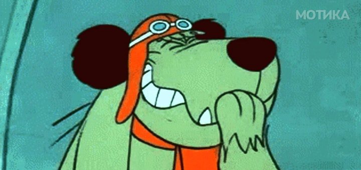 Трик прашање (виц) | Мотика